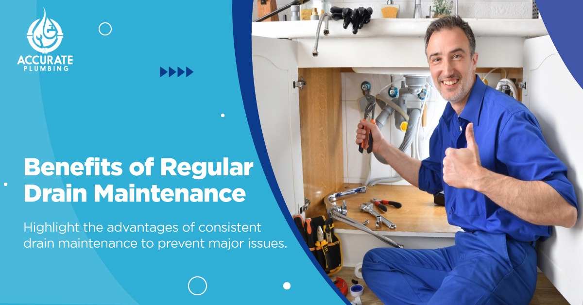 Proactive Drain Maintenance Services for a Healthy Plumbing