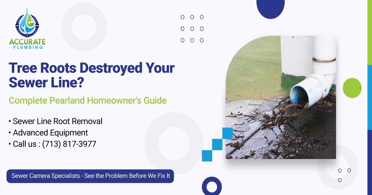 Tree Roots Destroyed Sewer Line Pearland? Complete Guide